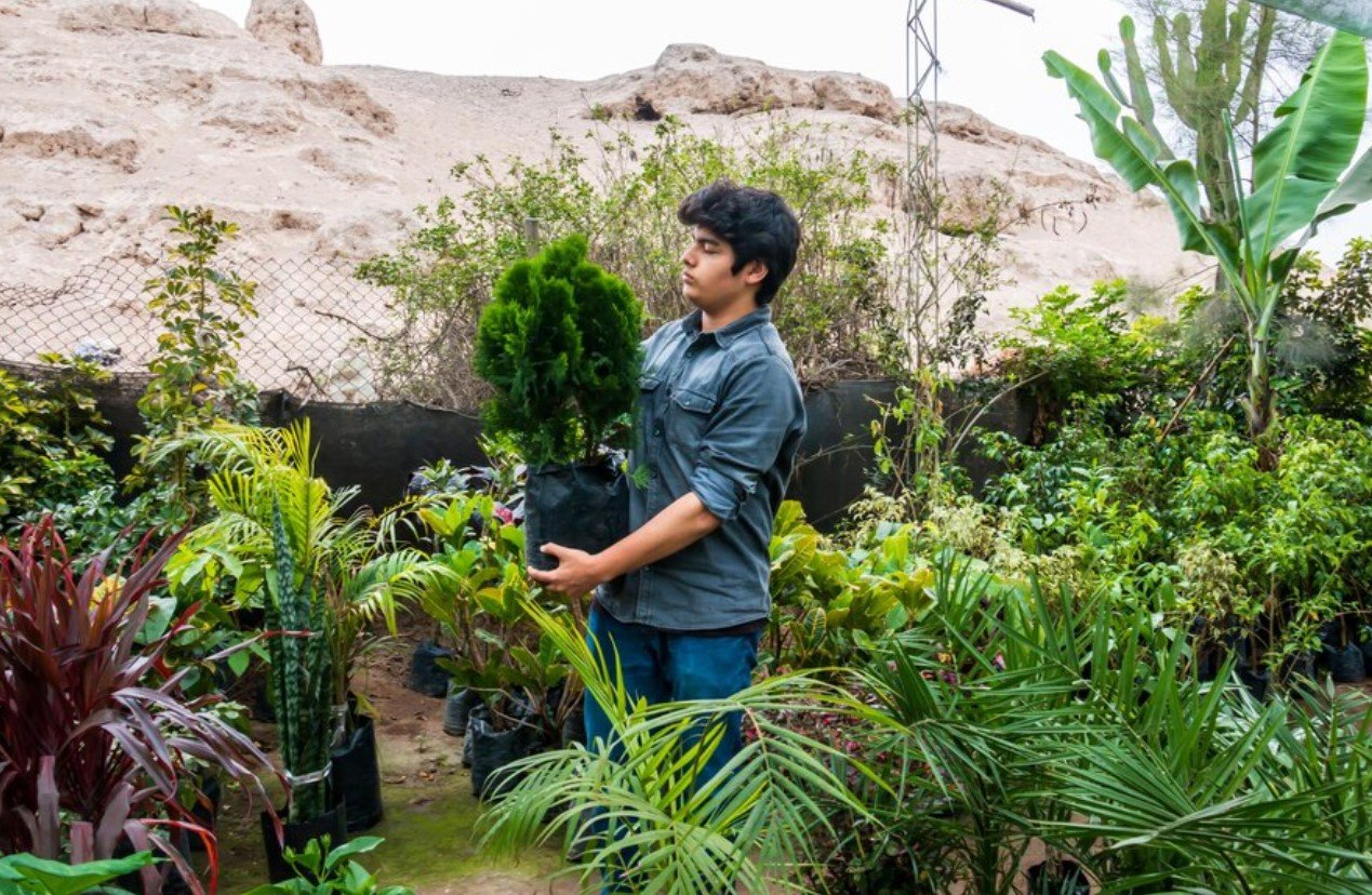 Native Wonders: The Beauty of Native Plant Gardening