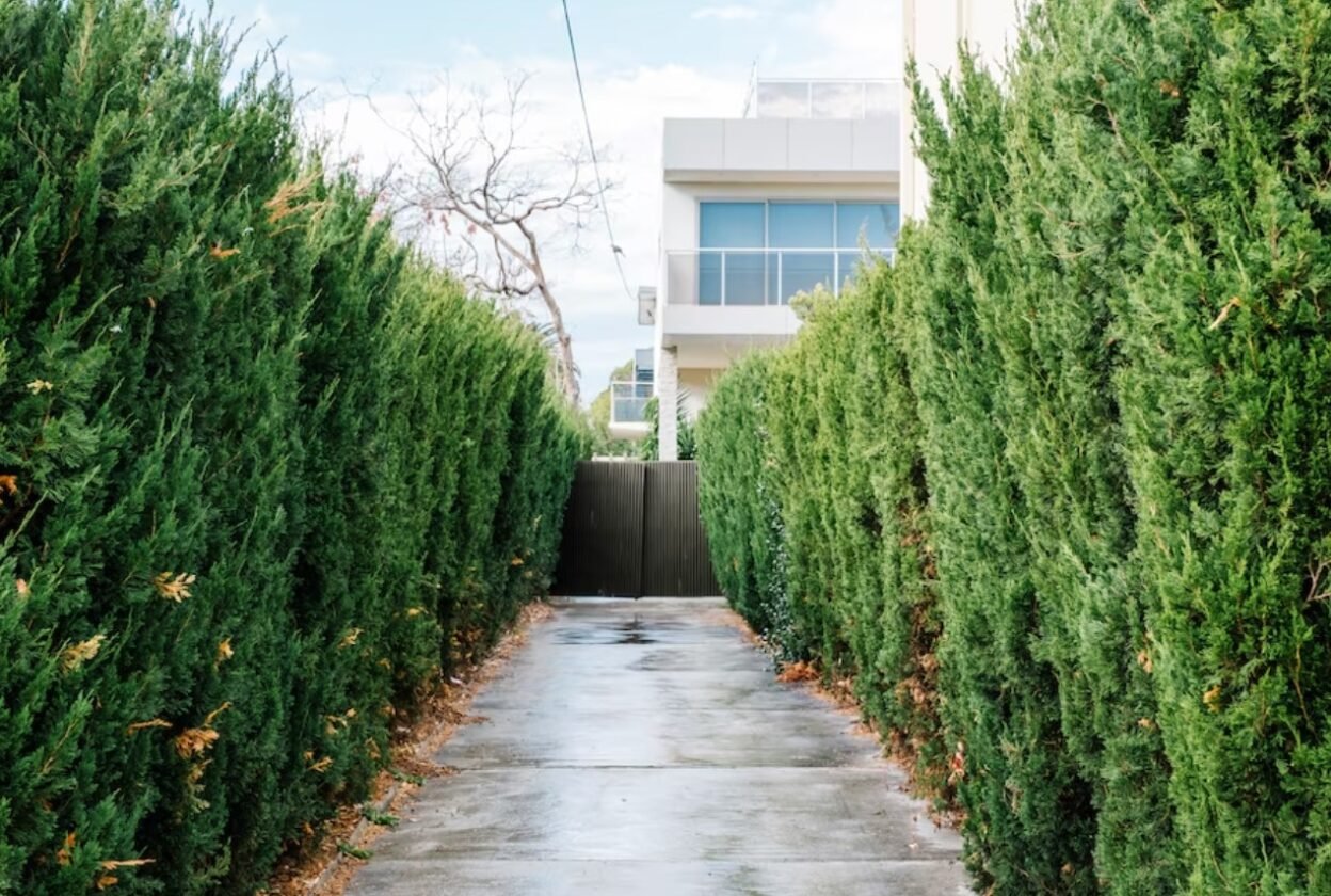 Trending Landscape Design Ideas to Your Outdoor Space