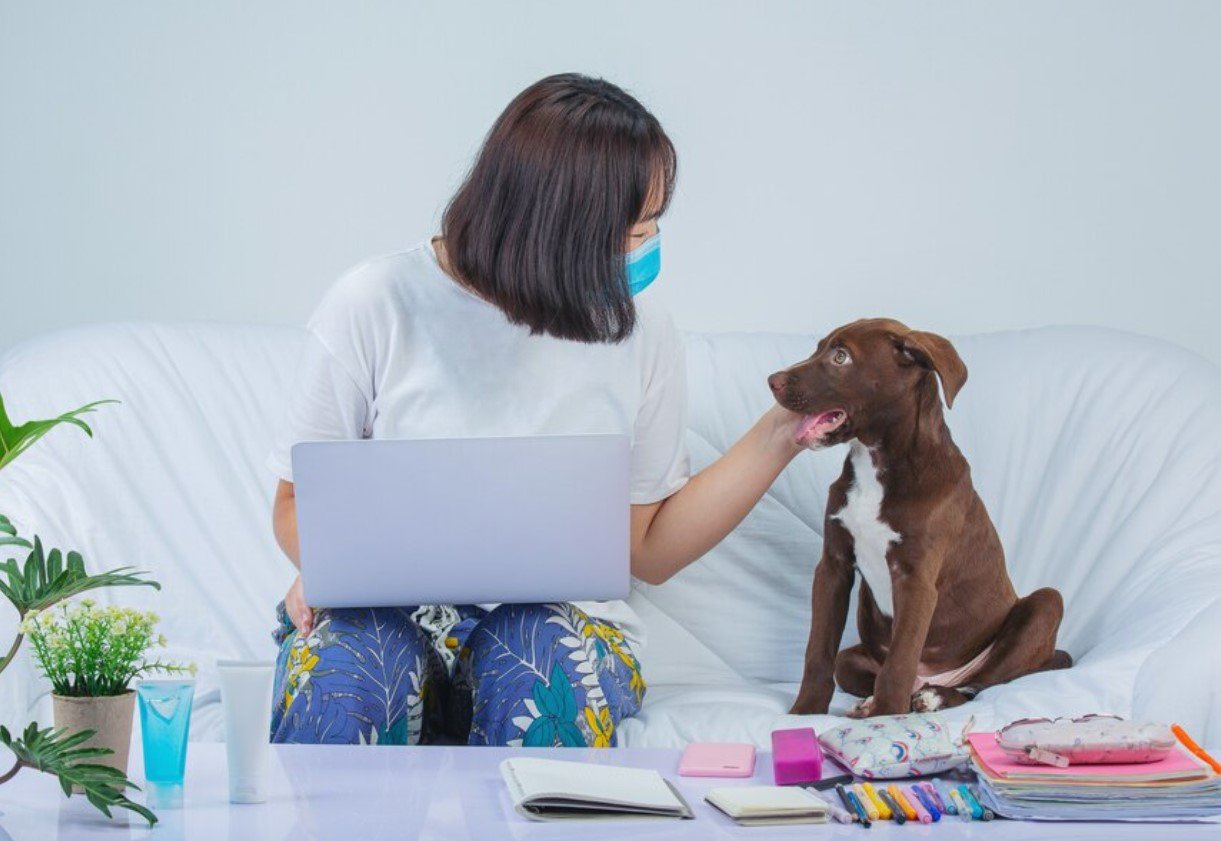 How Pets Can Put Our Health at Risk by Spreading Zoonotic Diseases